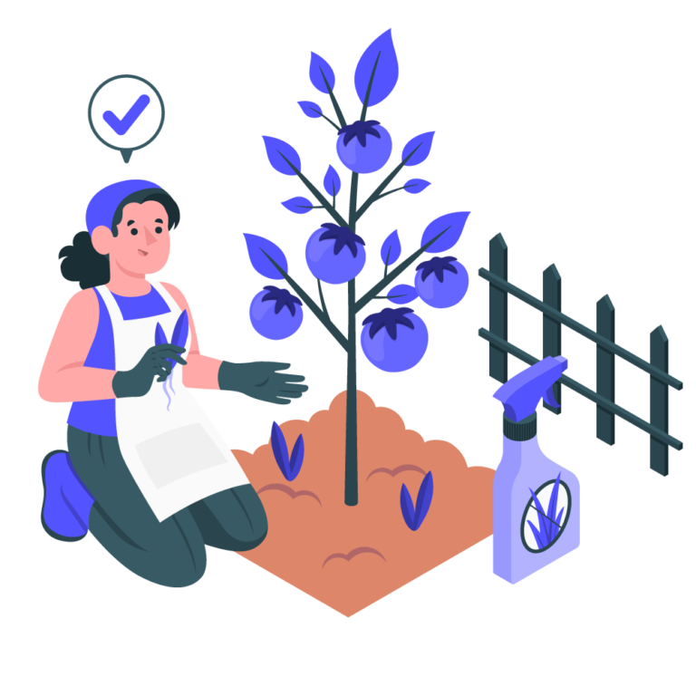 Workerlly | A Platform That Connects Work Providers and Work Seekers